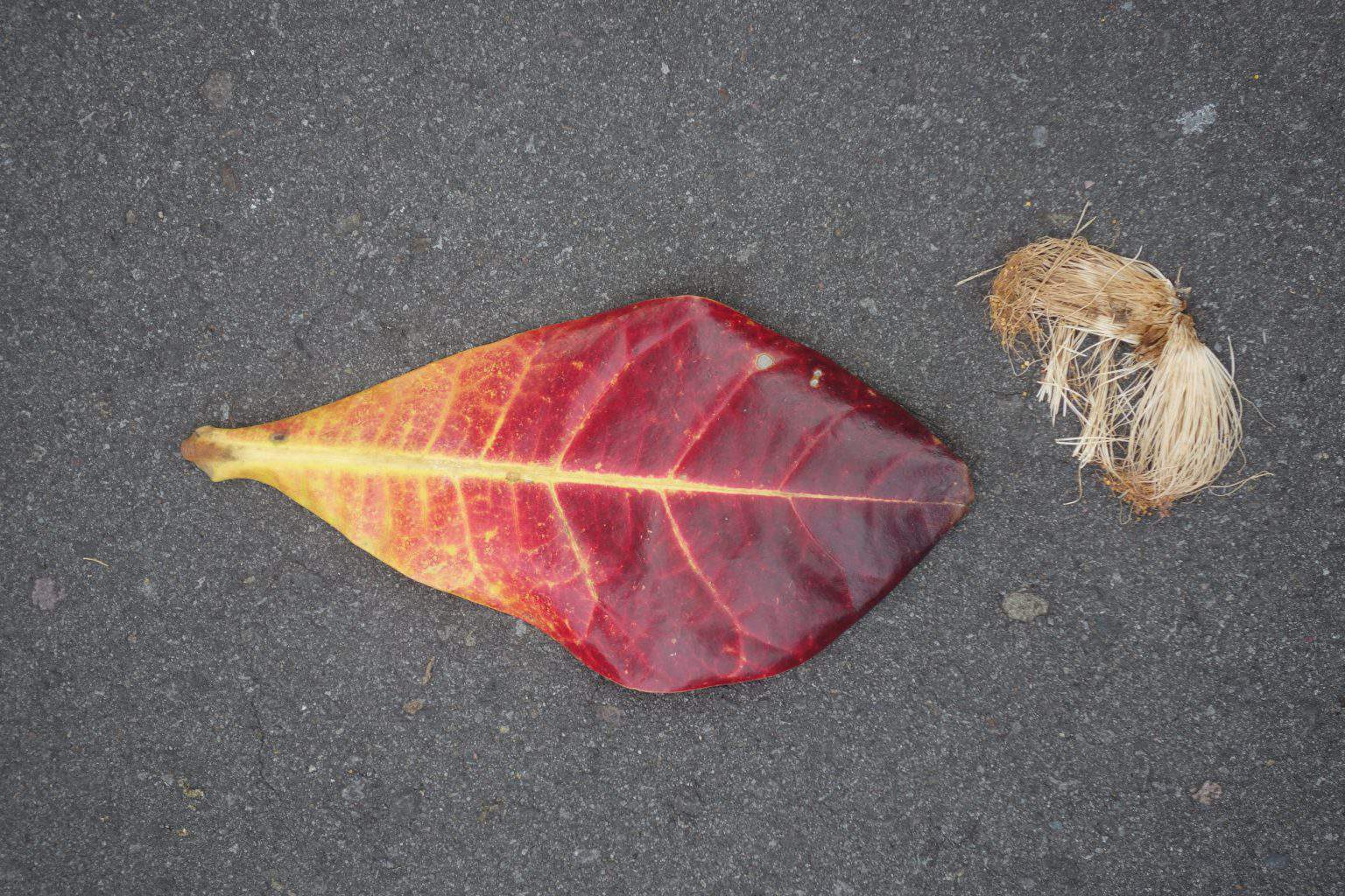 Was ist Zero Waste? - Zero Waste Germany e. V.